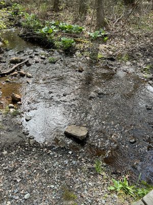 MASSASOIT STATE PARK - Updated December 2025 - 38 Photos & 22 Reviews ...