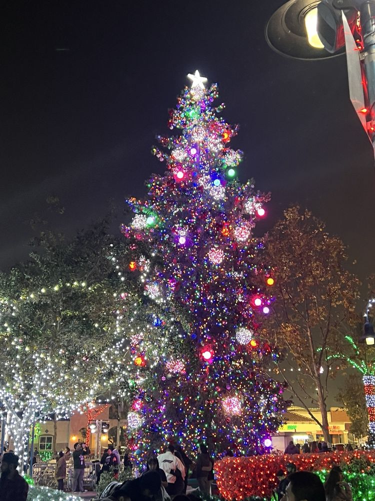 PARAMOUNT TREE LIGHTING - Updated October 2025 - 16400 Colorado Ave ...