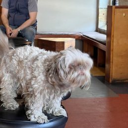 68 JAY ST BAR - Updated July 2025 - 42 Photos & 98 Reviews - 68 Jay St ...