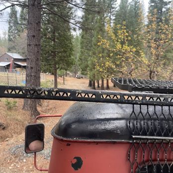 LITTLE BEAR TREE FARM - Updated November 2025 - 46 Photos & 29 Reviews ...