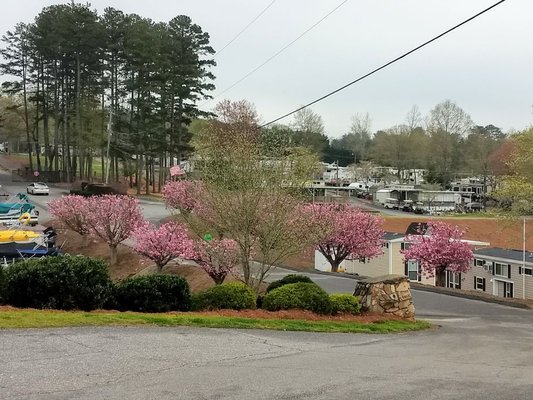 LAKE HICKORY RV RESORT - 26 Photos - 6641 Monford Dr, Conover, NC - Yelp