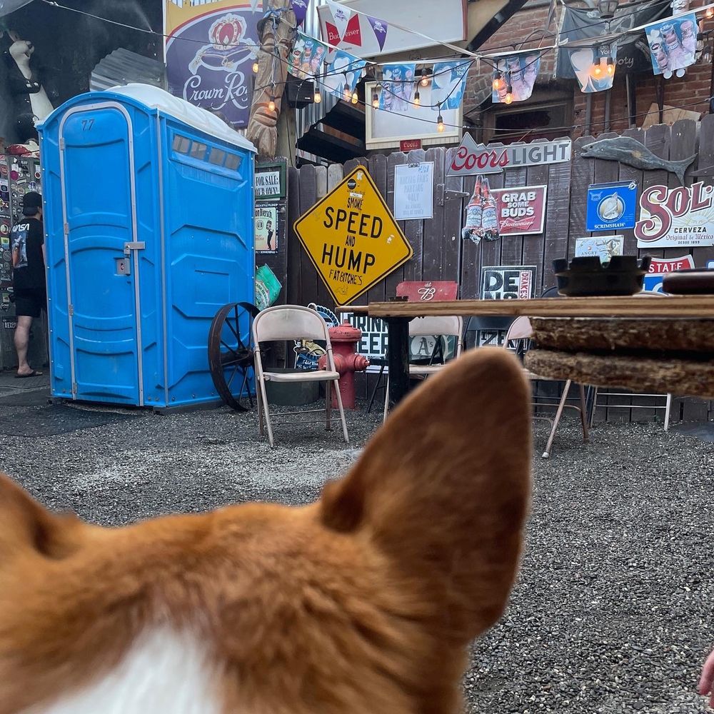 ROUND UP SALOON - Updated January 2026 - 17 Photos & 18 Reviews - 610 ...