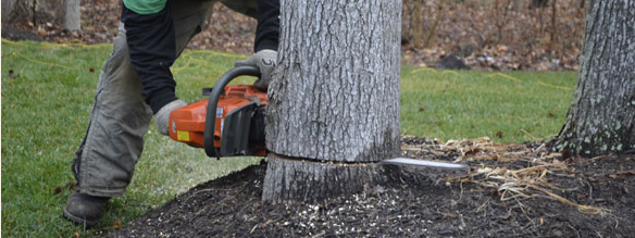 SOUTHERN TREE SERVICE - Updated December 2025 - 5405 Leonardtown Rd ...