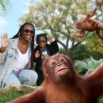 ZOOTAMPA AT LOWRY PARK - Updated May 2024 - 2190 Photos & 619 Reviews ...