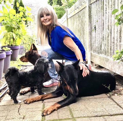 KIMBERTAL KENNELS - Updated October 2025 - 23 Reviews - 151 Ford Rd ...