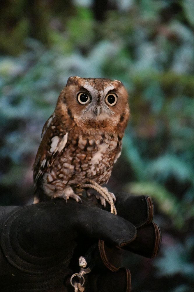 NATIONAL AVIARY - 871 Photos & 221 Reviews - Zoos - 700 Arch St ...