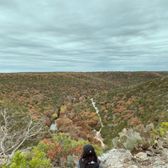 Lost Maples State Park - 267 Photos & 64 Reviews - Parks - 37221 Fm 187 ...