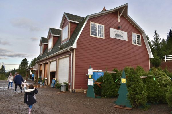 SKYLINE CHRISTMAS TREE FARM - Updated December 2025 - 33 Photos & 15 ...