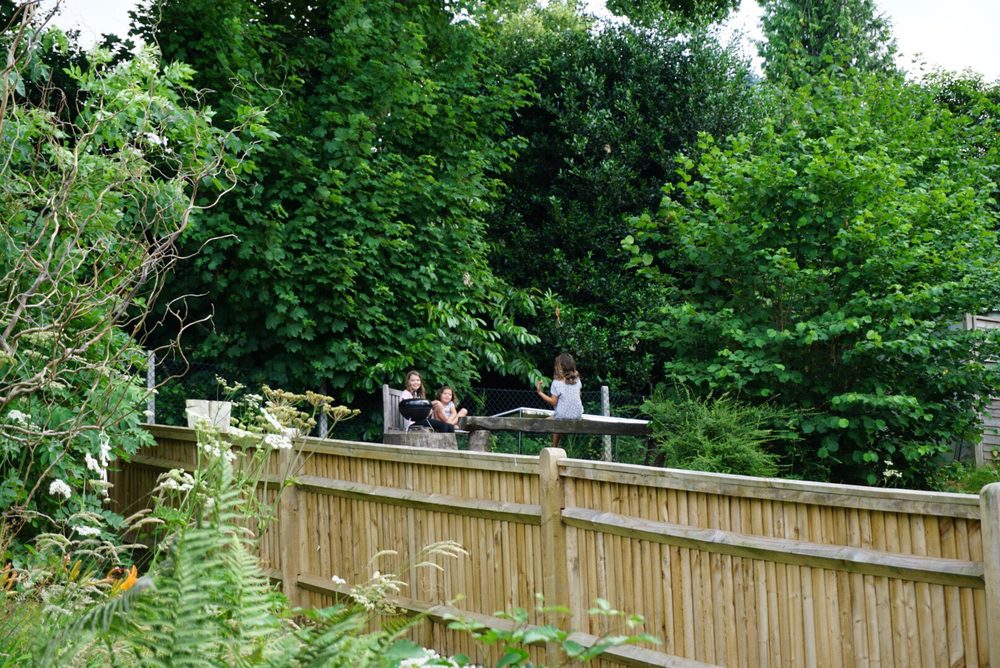 BERTRAM BEES - Updated June 2024 - Guildford Rd, Westcott, Surrey ...