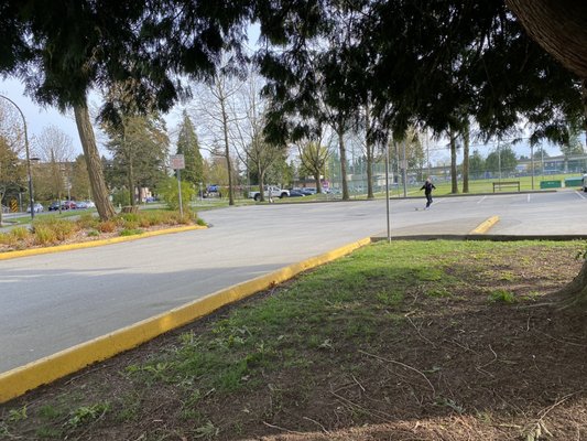 BONSOR RECREATION COMPLEX - Updated January 2025 - 20 Photos & 36 ...