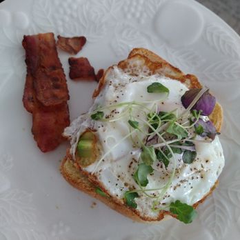 DAILY PROJECTS CAFE & EATERY - Updated October 2024 - 214 Photos & 291 ...