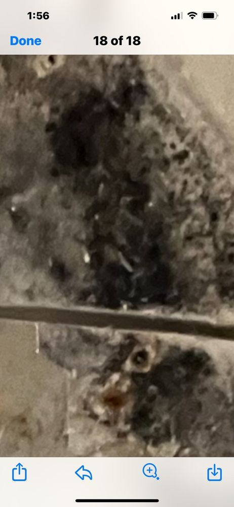 ALL CITY ENVIRONMENTAL - Updated July 2025 - 12 Photos & 16 Reviews ...