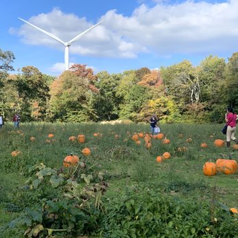 SALISBURY FARM - Updated January 2026 - 103 Photos & 37 Reviews - 11 ...