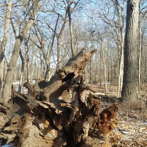 SADDLEBACK RIDGE GOLF COURSE - Updated July 2025 - 4646 180th St NE ...