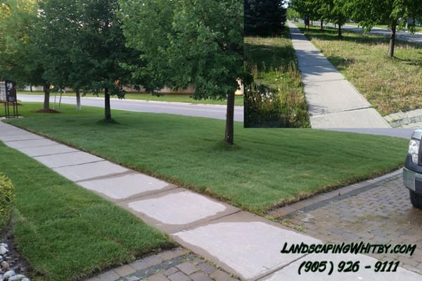 WHITBY LANDSCAPING & GARDENING - Updated August 2025 - 68 Photos - 511 ...