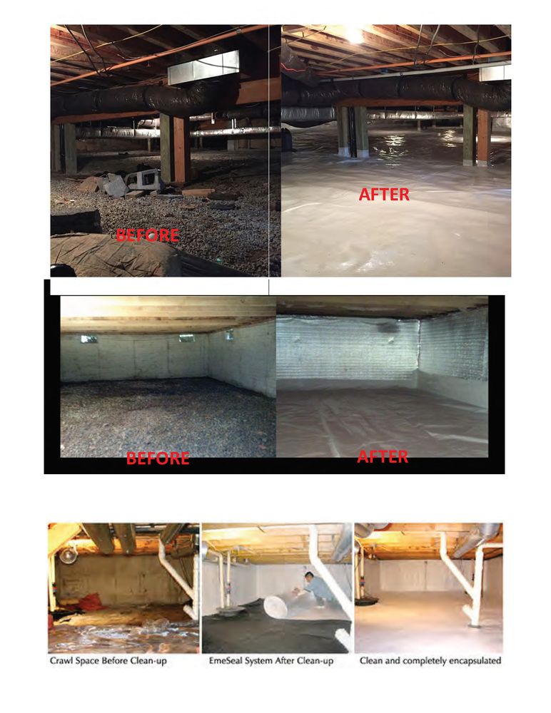 RAPTOR PEST CONTROL - Updated December 2025 - 26 Photos - Carson City ...