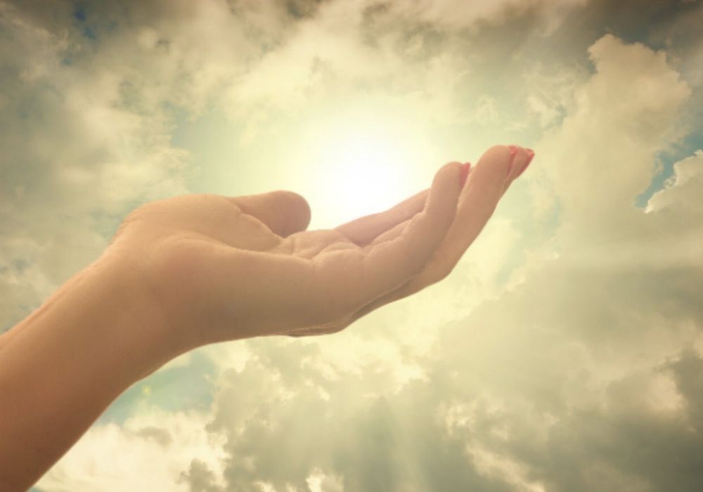 GRACE WARNER ELEMENTARY SCHOOL - Updated August 2025 - 3075 Heights Dr ...