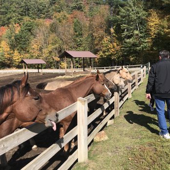 RIDIN-HY RANCH - Updated December 2025 - 83 Photos & 35 Reviews - 95 N ...