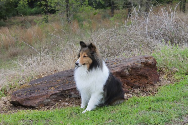 BLACKBIRD SCENIC OVERLOOK - Updated April 2025 - US Hwy 75, Macy ...