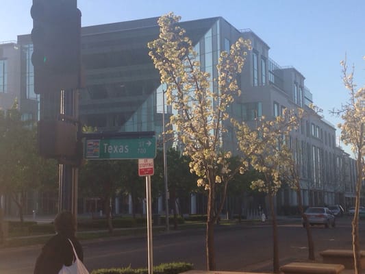 HALL OF JUSTICE - Updated July 2025 - 20 Photos - 600 Union Ave ...