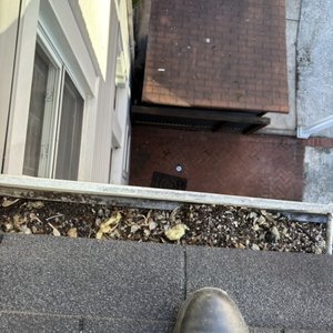 ARTERIX PEST CONTROL - Updated December 2025 - 36 Photos & 223 Reviews ...