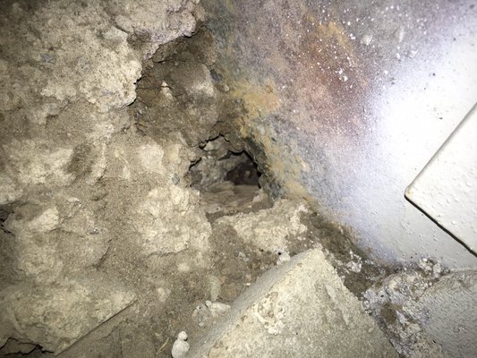 DO IT RIGHT RODENT PROOFING - Updated January 2025 - 16 Photos & 249 ...