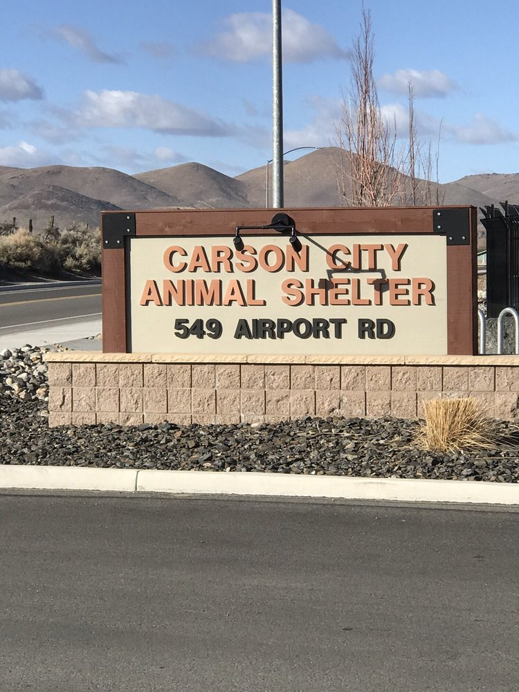 CARSON CITY ANIMAL SERVICES - Updated September 2025 - 549 Airport Rd ...