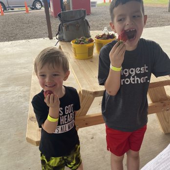 ATKINSON FARM - Updated August 2025 - 167 Photos & 71 Reviews - 3217 ...