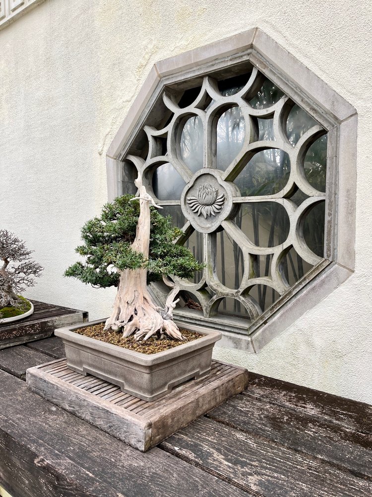 National Bonsai & Penjing Museum, Washington | Roadtrippers