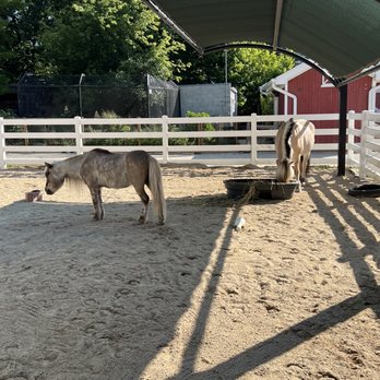 COSLEY ZOO - Updated May 2024 - 267 Photos & 136 Reviews - 1356 N Gary ...