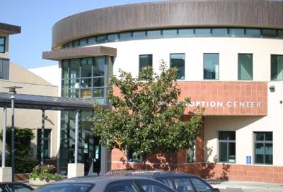 SAN FRANCISCO SPCA ADOPTION CENTER - Updated October 2025 - 456 Photos ...