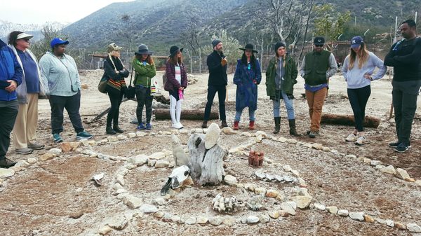 WOLF CONNECTION - Updated December 2025 - 53 Photos & 20 Reviews ...