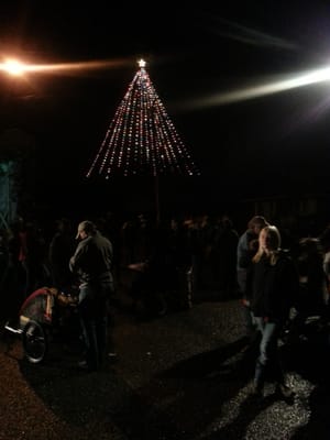 LIGHTING OF AMERICA’S TALLEST LIVING CHRISTMAS TREE - Ferndale, CA - Yelp