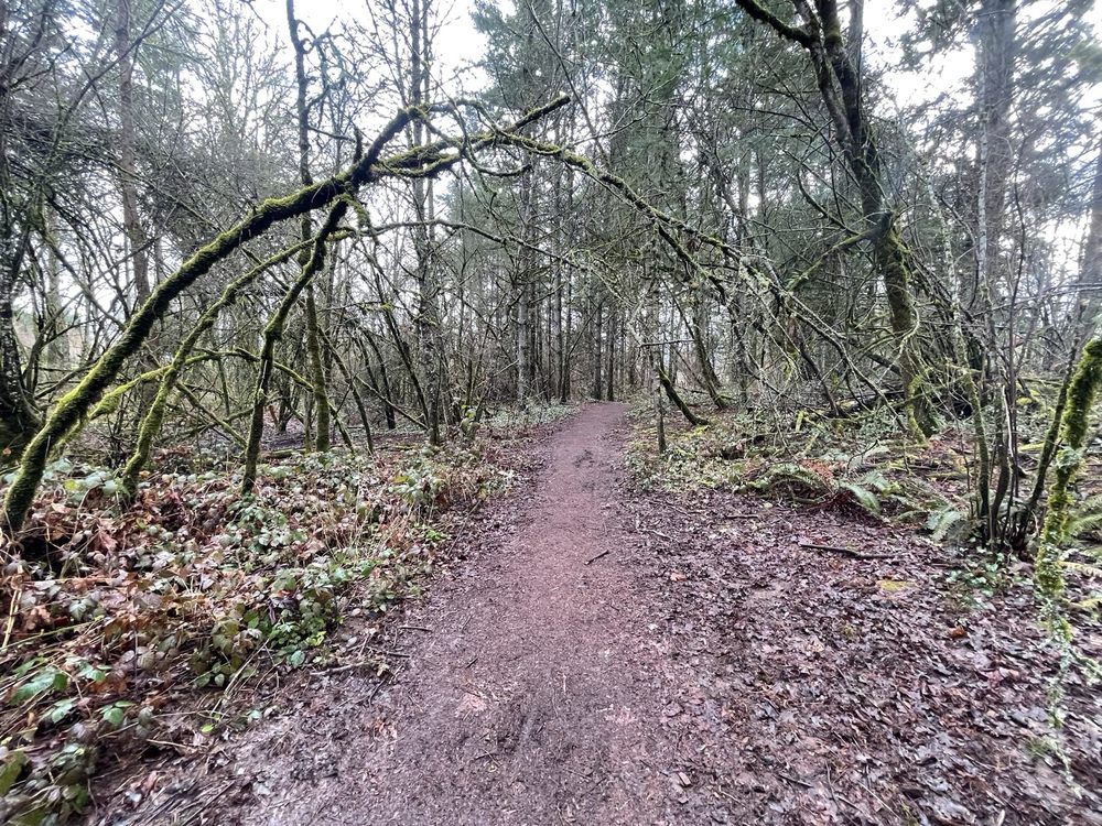 JOE DANCER PARK - Updated August 2024 - 27 Photos - 1650 SE Brooks St ...