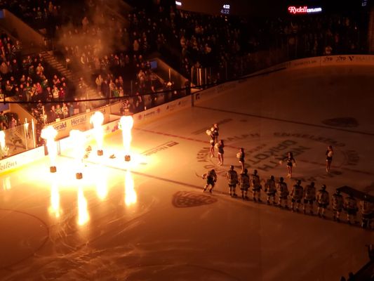 RALPH ENGELSTAD ARENA - 23 Photos & 14 Reviews - 1 Ralph Engelstad ...