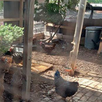 AGRITOPIA - Updated January 2026 - 142 Photos & 44 Reviews - 3000 E Ray ...