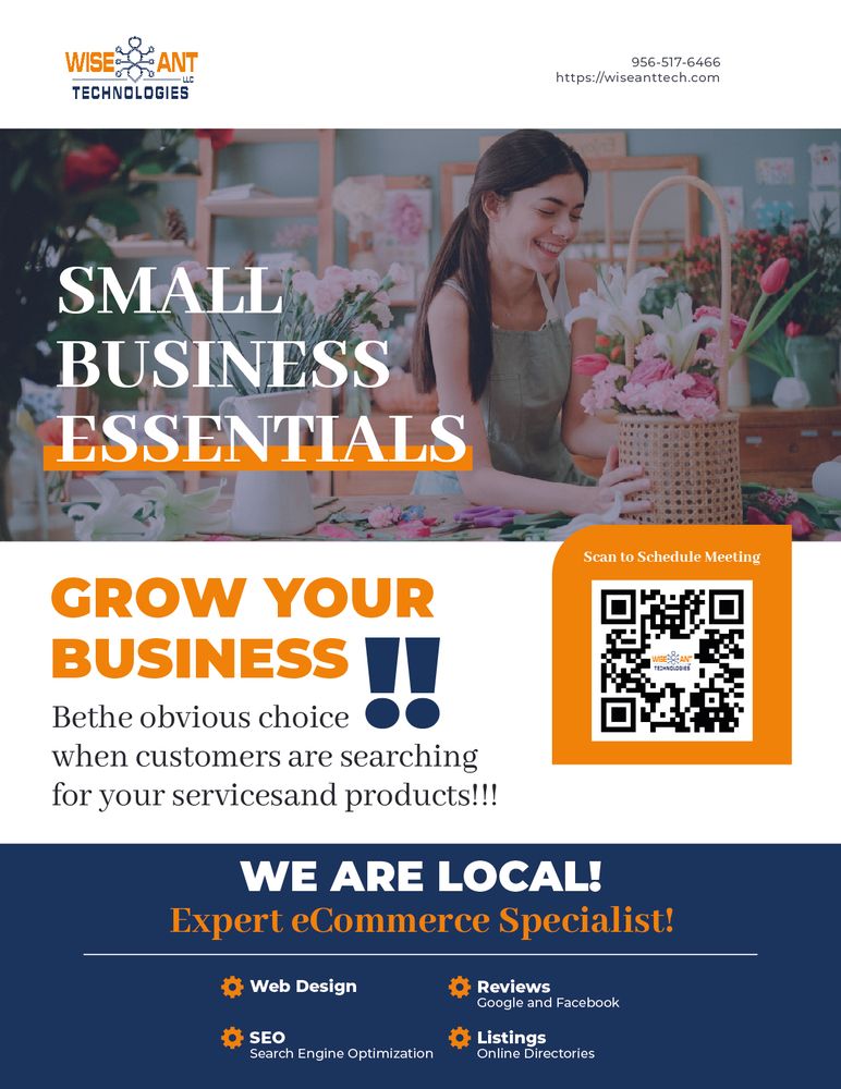 WISE ANT TECHNOLOGIES - Request Consultation - 1325 E Madison St, Brownsville, Texas - Web ...