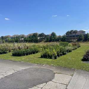 CHERRY LAKE TREE FARM - Updated July 2025 - 7836 Cherry Lake Rd ...