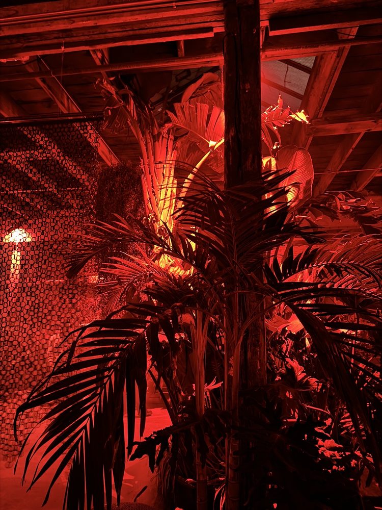 IN THE LOWEST FERNS - Updated March 2025 - 17 Photos & 10 Reviews ...