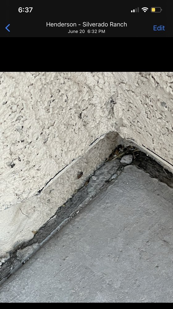 BUG THUG PEST CONTROL - Updated November 2025 - 25 Reviews - Henderson, Nevada - Pest Control ...