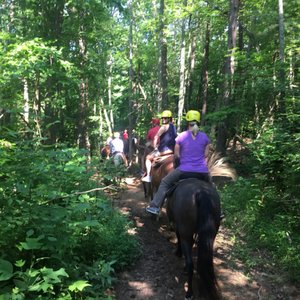 BLUE RIDGE MOUNTAIN TRAIL RIDES - 159 Photos & 24 Reviews - 319 Hell's ...