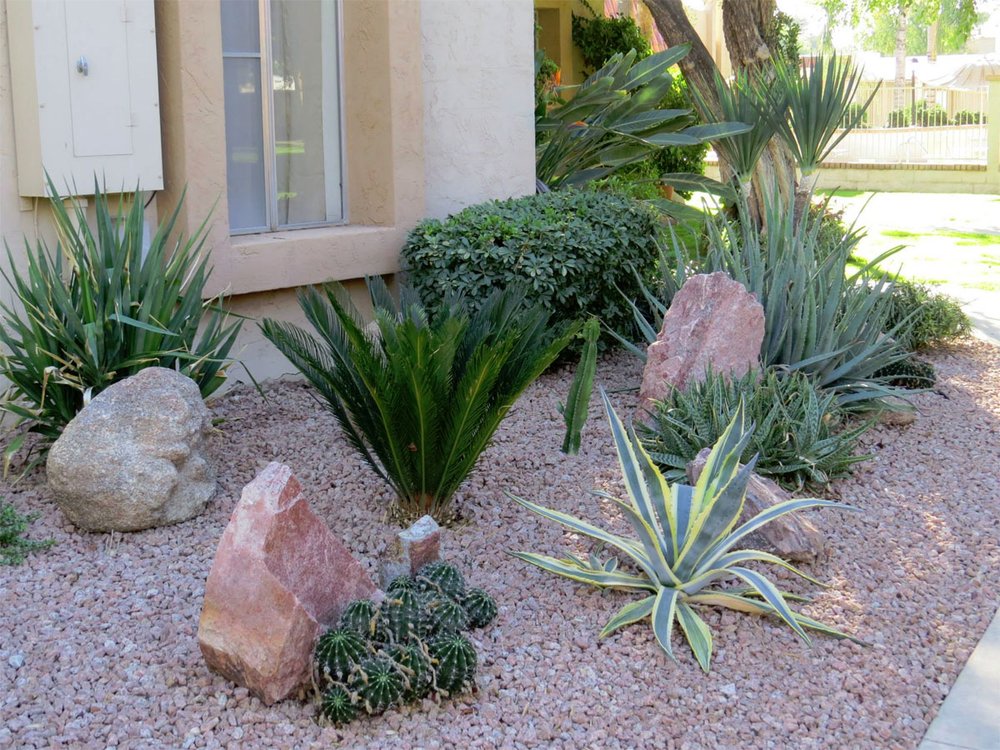 SCARLET OAK LANDSCAPING - Updated August 2025 - 22 Photos - Phoenix ...