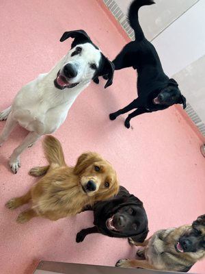 THE PETROPOLITAN - Updated January 2026 - 22 Photos - 101 - 131 9 ...