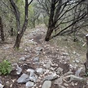 GOVERNMENT CANYON STATE NATURAL AREA - 350 Photos & 81 Reviews - Hiking ...