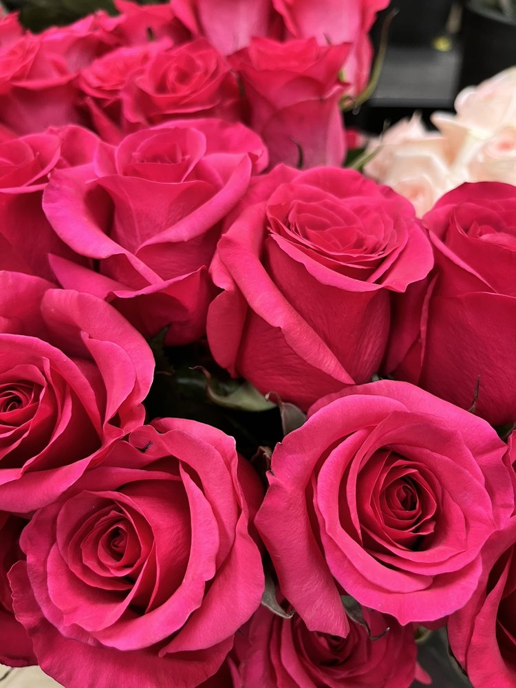 WEGMANS - Updated December 2025 - 133 Photos & 187 Reviews - 240 Nassau ...