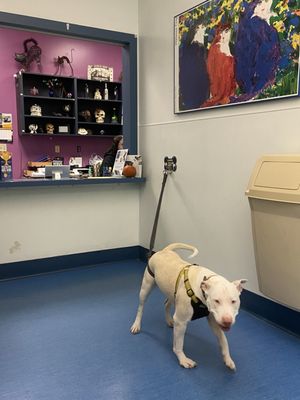 HUMANE ANIMAL RESCUE - Updated October 2025 - 48 Photos & 55 Reviews ...