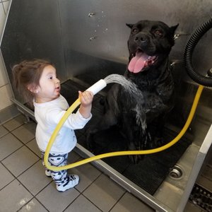 ANIMAL HOSPITAL OF SPRING GROVE - Updated December 2025 - 34 Reviews ...