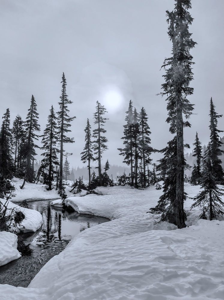 MOUNT WASHINGTON ALPINE RESORT - Updated February 2025 - 27 Photos & 19 ...