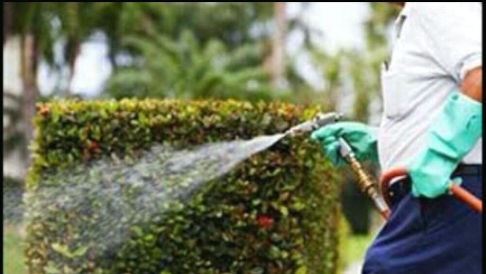 BULLSEYE TERMITE PEST & MOSQUITO CONTROL - Updated November 2025 - 10 Photos - Tyler, Texas ...