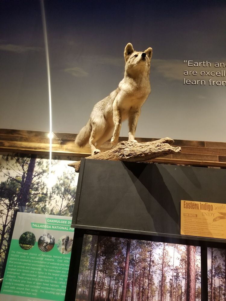 ALABAMA WILDLIFE FEDERATION - Updated December 2025 - 20 Photos - 3050 ...